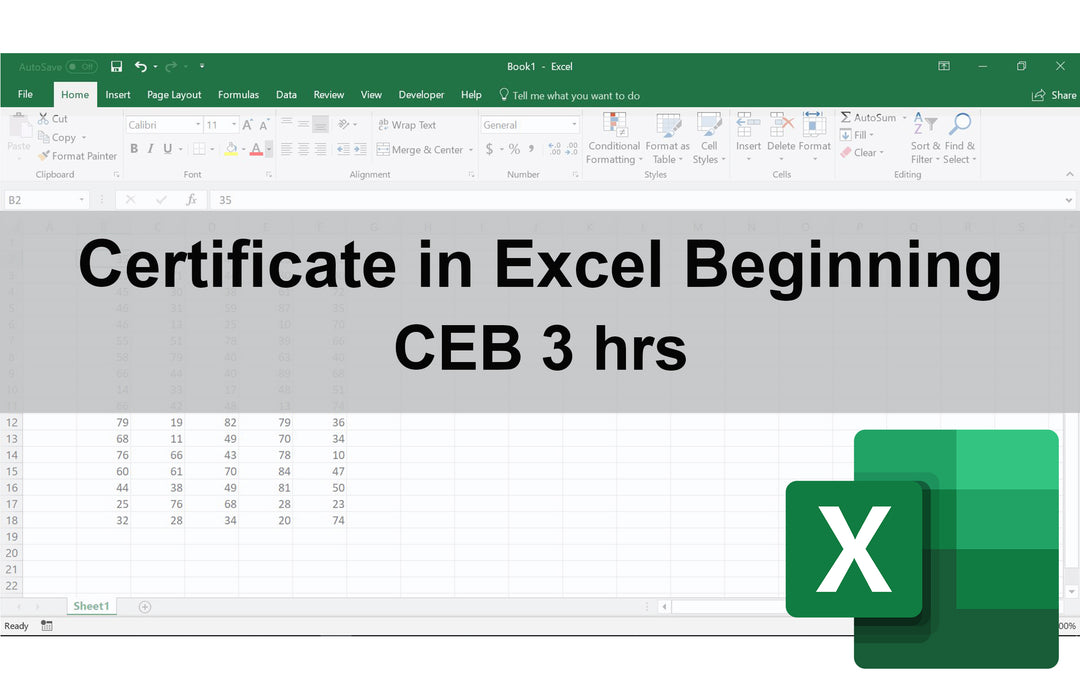 Certificate in Excel Beginning – Excel Pro Education Ltd.