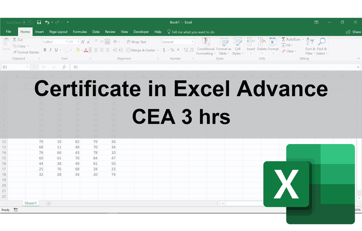 Certificate in Excel Advance – Excel Pro Education Ltd.